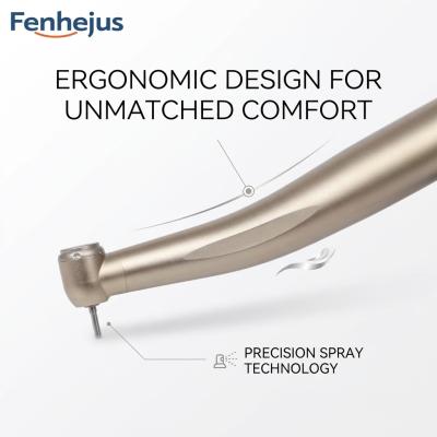 China Dental High Speed Handpiece with 300,000-400,000 Rpm Class II Instrument Featuring 2-Hole or 4-Hole Coupler for sale