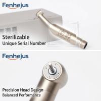 China 2-hole High Speed Dental Handpiece with Ceramic Ball Bearing Turbine for Smoothing and Finishing at 320000rpm for sale