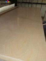 China BB/BB Grade 12/15/18mm Full Birch Plywood for Die Making in Packaging Printing Industry for sale