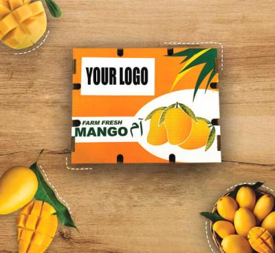 China Custom Recycled Cardboard Packaging Magnetic Closure Foldable Shoe Clothes Gift Boxes for sale