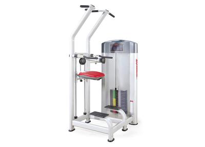 China LJ Fitness LJ-5501 Commercial Assisted Dip Chin Exercise Machine 80kg Weight Stack for sale