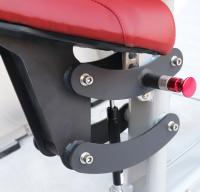 China Heavy Duty Matrix Strength Training Equipment / Abdominal Crunch Machine for sale