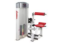 China Commercial Grade Back Extension Machine for Gym Strength Training LJ-5511 for sale