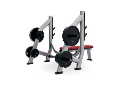 China Commercial Gym Rack and Olympic Bench Weight Storage Machine 140mm Steel Tube for sale