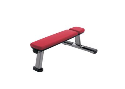 China Professional Commercial Gym Rack And Bench , Weight Lifting Dumbbell Flat Bench for sale