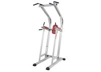 China LJFITNESS Commercial Assisted Chin Dip Leg Raise Machine with 40mm Cushion OEM for sale