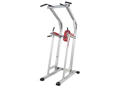 China LJFITNESS Commercial Assisted Chin Dip Leg Raise Machine with 40mm Cushion OEM for sale