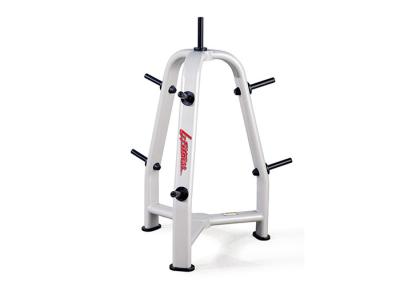 China Special Gym Rack And Bench , Commercial Training Equipment Weight Plate Tree for sale