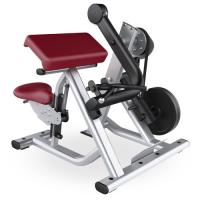 China Gym Seated Biceps Curl Machine With Adjustable Cushions Custom Color Available for sale