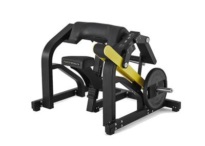 China Hammer Strength Plate Loaded Biceps Curl Machine 300kg Capacity Custom Colors for sale