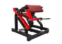 China Hammer Strength Plate Loaded Biceps Curl Machine 300kg Capacity Custom Colors for sale