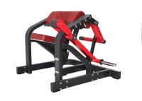 China Hammer Strength Plate Loaded Biceps Curl Machine 300kg Capacity Custom Colors for sale