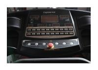 China Commercial Treadmill 220V 4.0-6.0 HP AC Motor Indoor Exercise Machine 1-20 km/h Speed for sale
