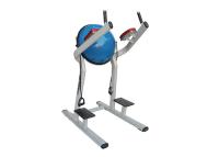 China Lifetime Fitness Chin Dip Leg Raise Machine with Bosu Ball 3.5mm Steel Frame for sale