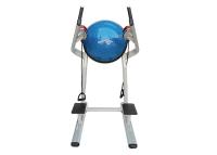 China Lifetime Fitness Chin Dip Leg Raise Machine with Bosu Ball 3.5mm Steel Frame for sale
