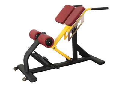 China Pro Commercial Roman Chair Ab Exercise Bench 140mm Main Tube Q235 Steel for Gym for sale