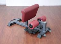 China Commercial Grade Ajustable Sissy Squat Rack Machine For Body Building for sale