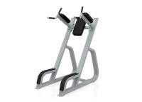 China Q235 Life Fitness Leg Raise Exercise Machine for Gym Strength Training Custom Colors for sale