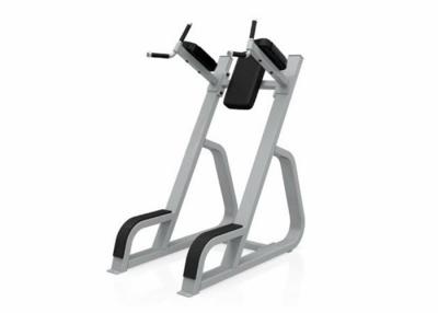 China Q235 Life Fitness Leg Raise Exercise Machine for Gym Strength Training Custom Colors for sale