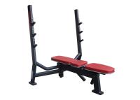 China Commercial Gym Rack Flat Incline Weight Bench Press for sale