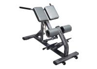 China Pro Commercial Gym Rack And Exercise Equipment Back Extension Bench for sale