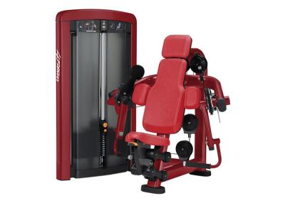 China Commercial Biceps Curl Machine 122x160x148cm with 80kg Weight Stack for Gym for sale