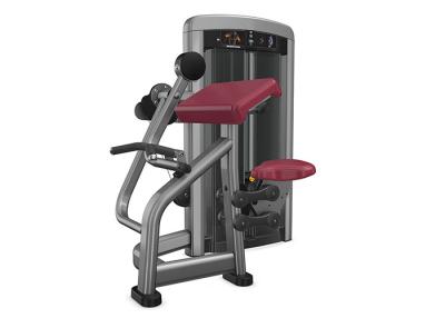 China Commercial Biceps Curl Machine 80kg Weight Stack Gym Equipment Custom Color for sale