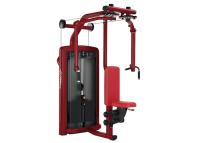 China Commercial Workout Rear Deltoid Muscle Training Machine for sale