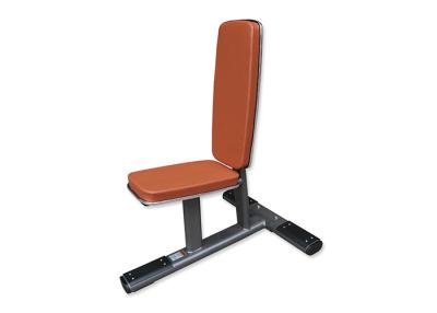 China Indoor Commercial Gym Rack and Bench Utility Chair for Dumbbell Exercise 3.5mm Steel Frame for sale