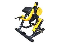China 300kg Biceps Curl Hammer Strength Exercise Machine for sale
