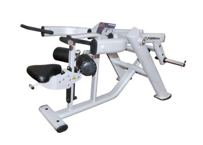 China Commercial Seated Tricep Dip Machine 300kg Capacity Adjustable Gym Equipment for sale