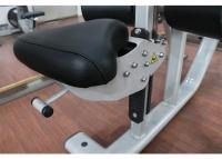 China Commercial Seated Tricep Dip Machine 300kg Capacity Adjustable Gym Equipment for sale