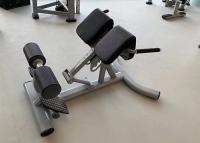China Commercial Grade Back Extension Roman Chair Machine 127x94x97cm for Gym for sale