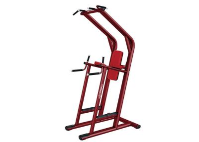 China Q235 Home Gym Chin Dip Leg Raise Station for Strength Training 300 lbs Capacity for sale