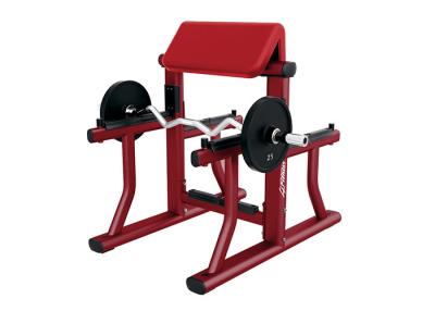 China Commercial Red Arm Curl Bench Machine Weight Training Gym Equipment Custom Colors for sale