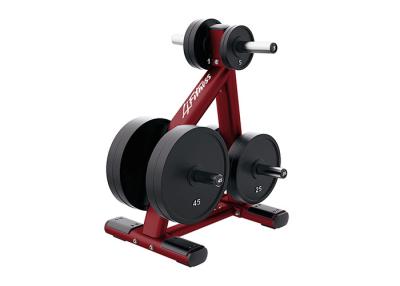 China Commercial Grade 10 Bar Weight Tree 59x69x94cm Gym Equipment Barbell Rack for sale