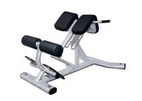 China Commercial Gym Back Extension Roman Chair Silver Color Heavy Duty Exercise Equipment for sale