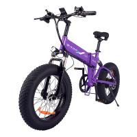 China 500W Brushless Motor 20 Inch Electric Bike for sale
