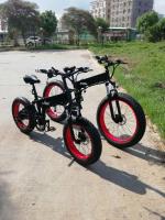 China 500W Brushless Motor 20 Inch Electric Bike for sale