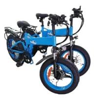 China 500W Brushless Motor 20 Inch Electric Bike for sale