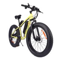 China Full Suspension Fat Tire Beach Electric Bike 500w Electric Mountain Bike 13Ah/48v for sale