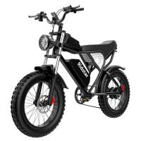 China High Carbon Steel Frame 20 Inch Electric Bike Pedal Assistant 31 - 60km for sale