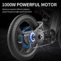 China High Speed Motor 48v 500w Ridstar Electric Bike For Trail Riding for sale