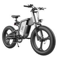 China Fashionable 20inch 48V Fat Tire Electric City Bikes Single Speed for sale