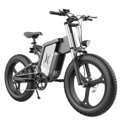 China Fashionable 20inch 48V Fat Tire Electric City Bikes Single Speed for sale