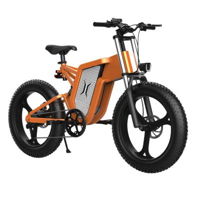 China 1000W/2000W Unisex Ridstar E Bike Electric Touring Bike  Heavy Duty for sale