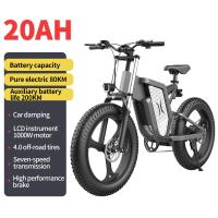 China 1000W/2000W Unisex Ridstar E Bike Electric Touring Bike  Heavy Duty for sale