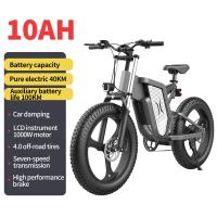 China 1000W/2000W Unisex Ridstar E Bike Electric Touring Bike  Heavy Duty for sale