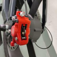 China 48V 1000w Ridstar Electric Bike With Aluminum Alloy Frame Disc Brake for sale