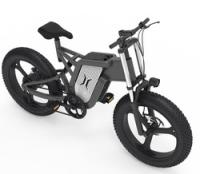 China 48V 1000w Ridstar Electric Bike With Aluminum Alloy Frame Disc Brake for sale